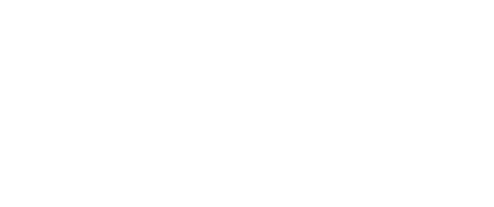 Home - Vein & Vascular Experts